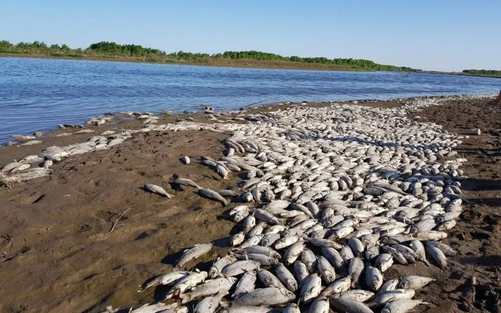 Denuncia penal por grave contaminación del río Salí en Santiago del ...